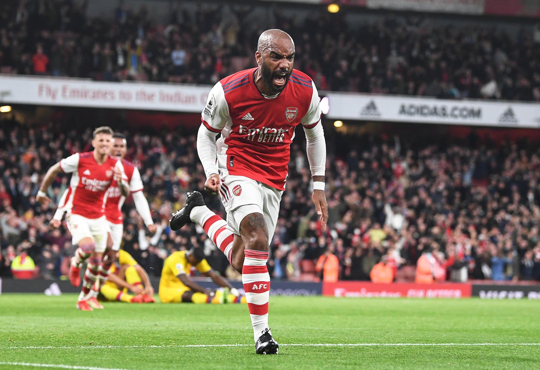 Blackbird | Toni Marino